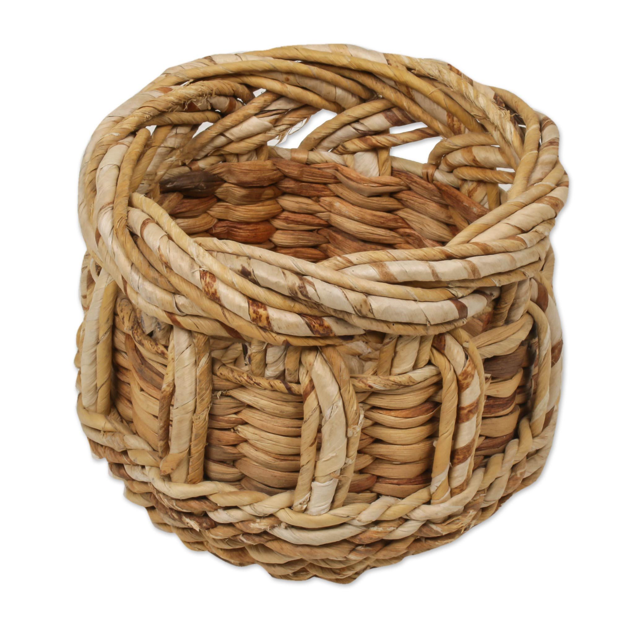 Handcrafted Banana Tree Bark Basket from Bali - Natural Storage | NOVICA