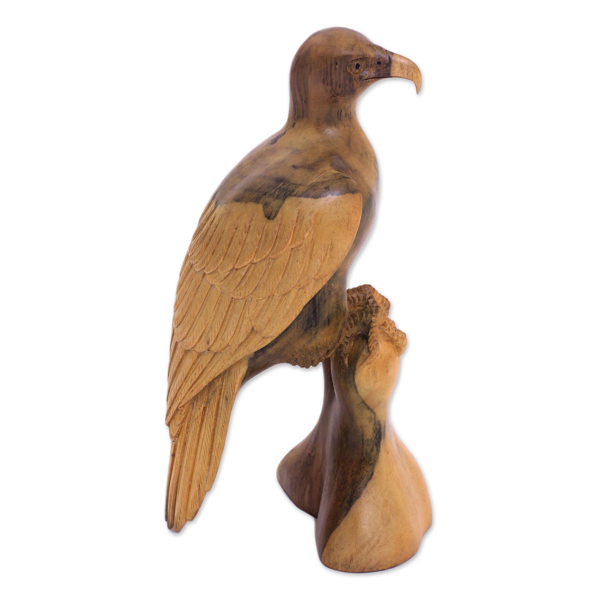 Hibiscus Wood Vulture Sculpture from Bali - Vulture | NOVICA
