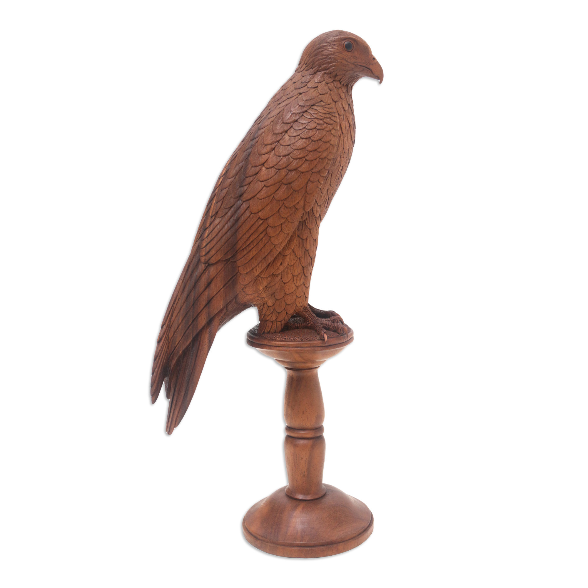 Hand-Carved Suar Wood Falcon Sculpture from Bali - Calm Falcon | NOVICA