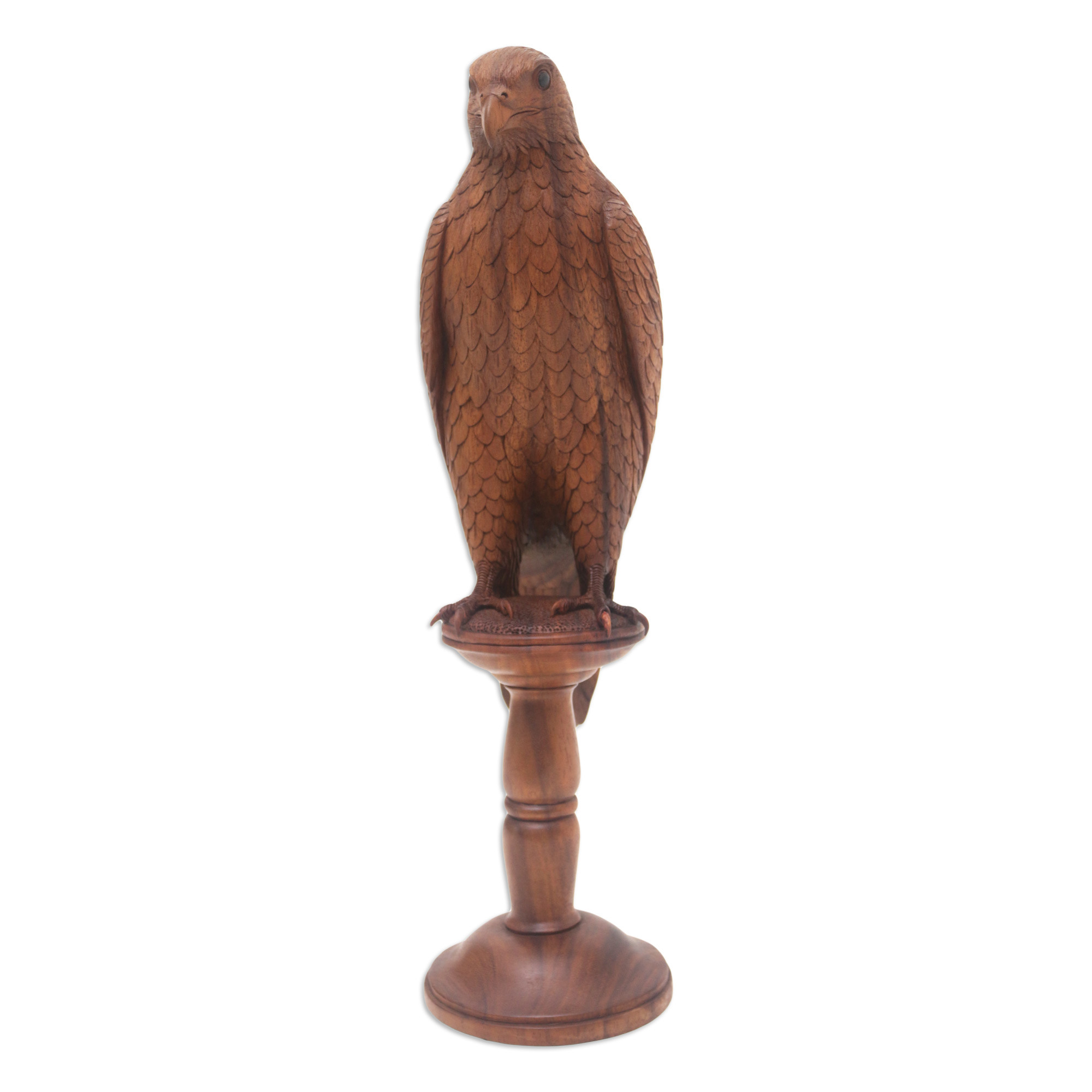 Hand-Carved Suar Wood Falcon Sculpture from Bali - Calm Falcon | NOVICA