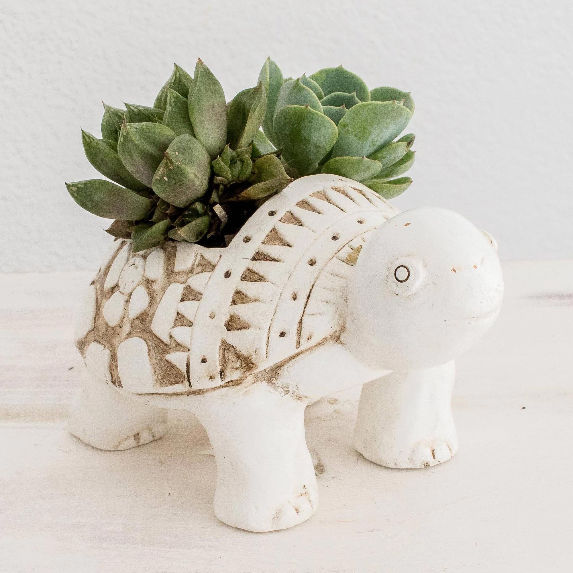 Handcrafted Ceramic Turtle Flower Pot from El Salvador - Cheerful ...