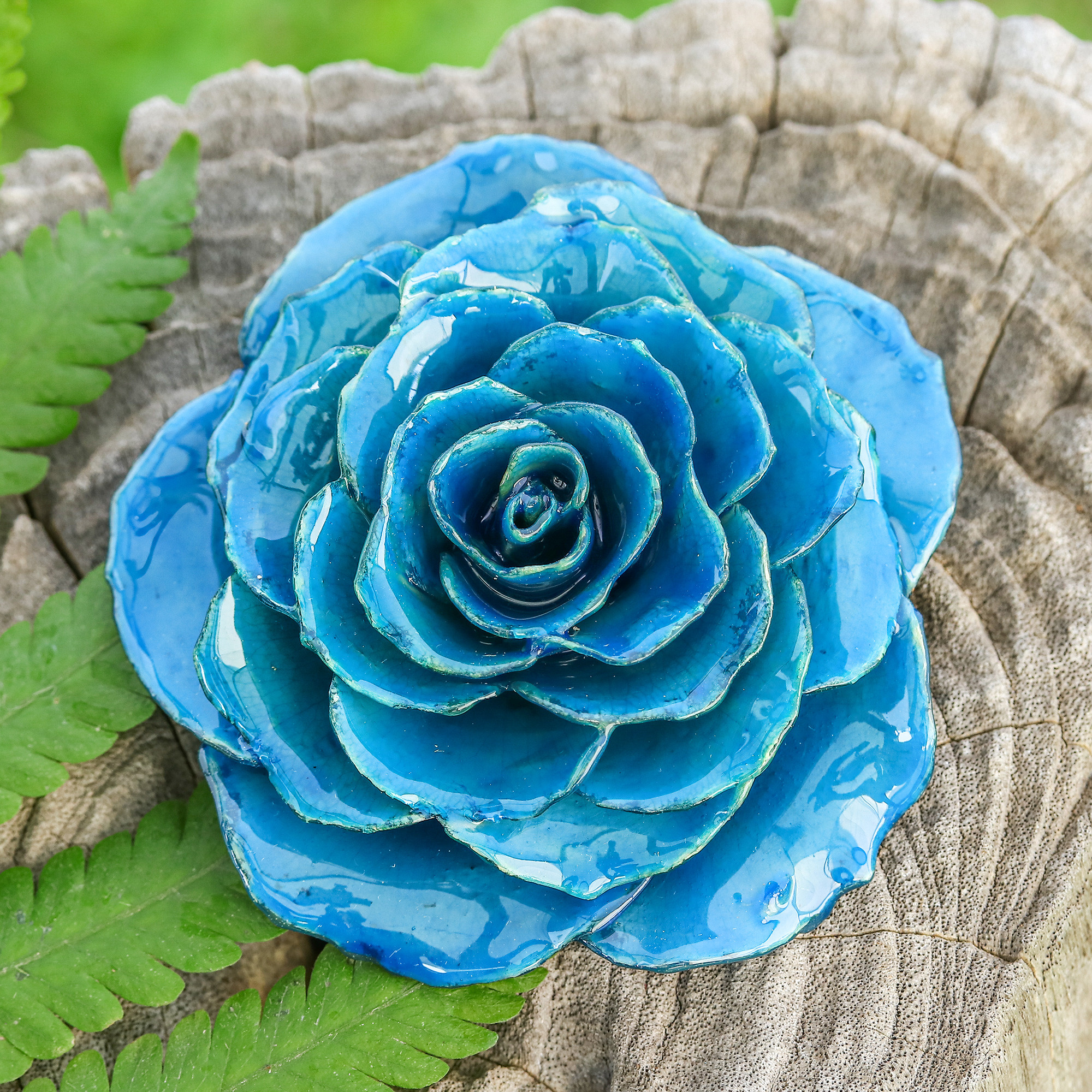 Azure rose - craibas.al.gov.br