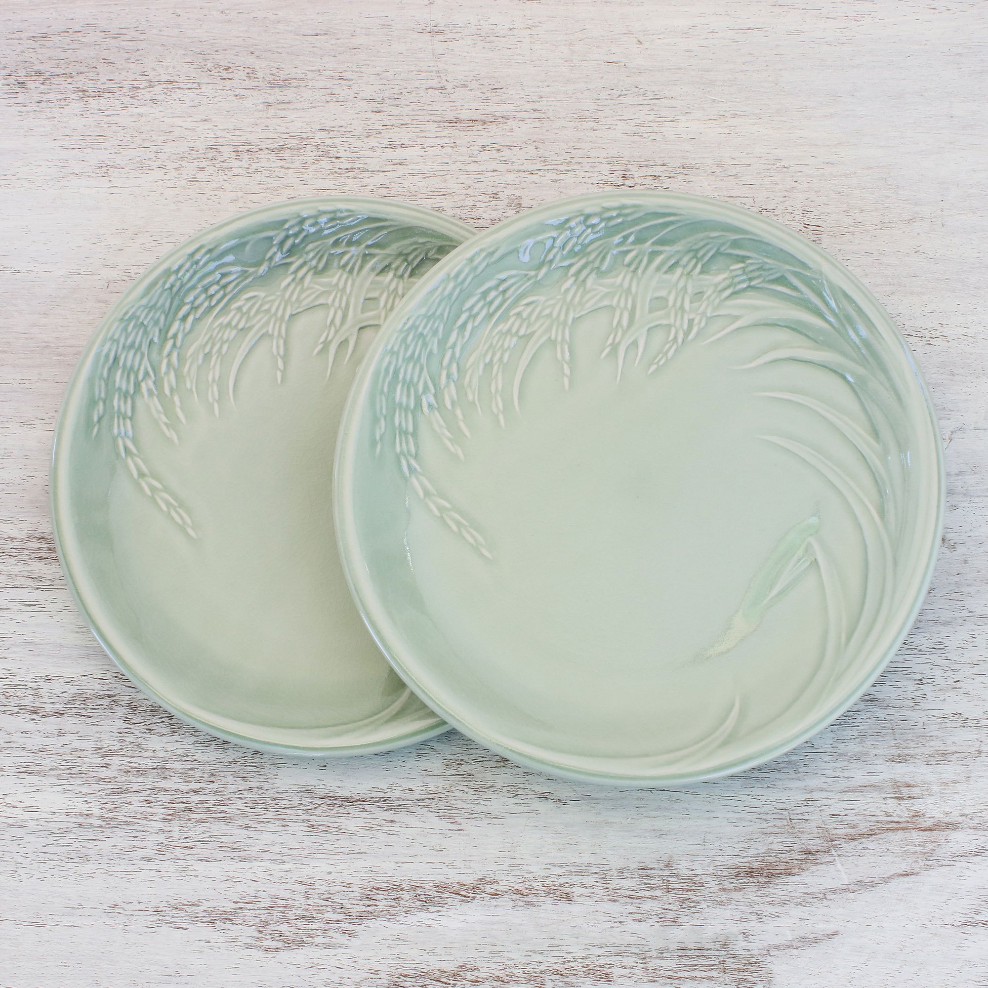 Celadon Ceramic Plates from Thailand (Pair) - Thai Rice | NOVICA